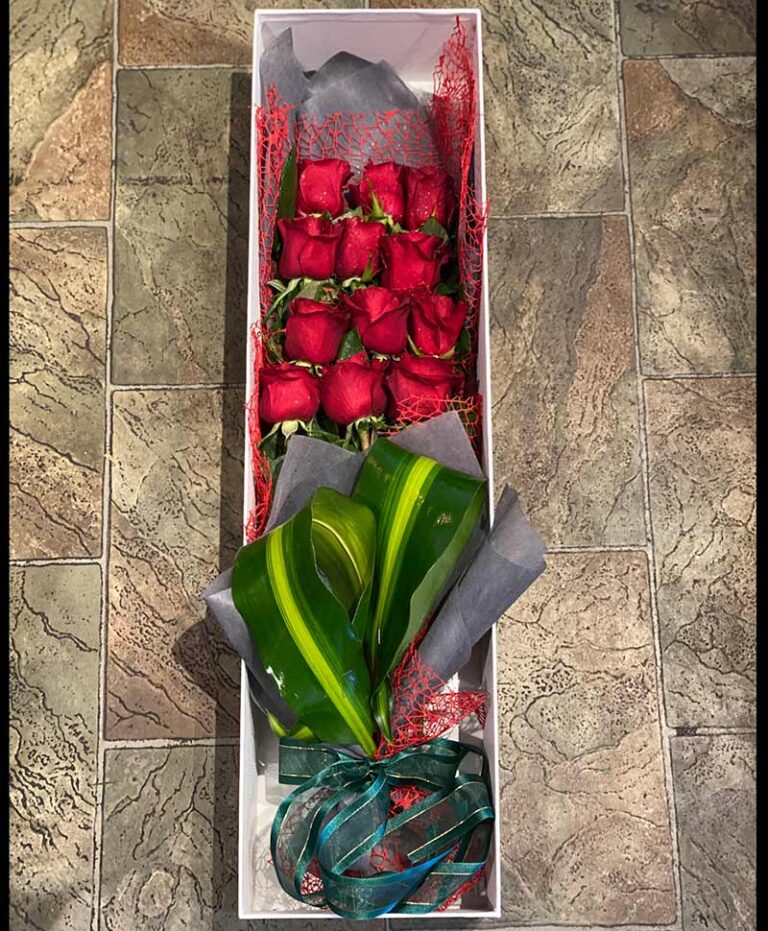 Dozen Red Rose in Box – Magnolia Flowers